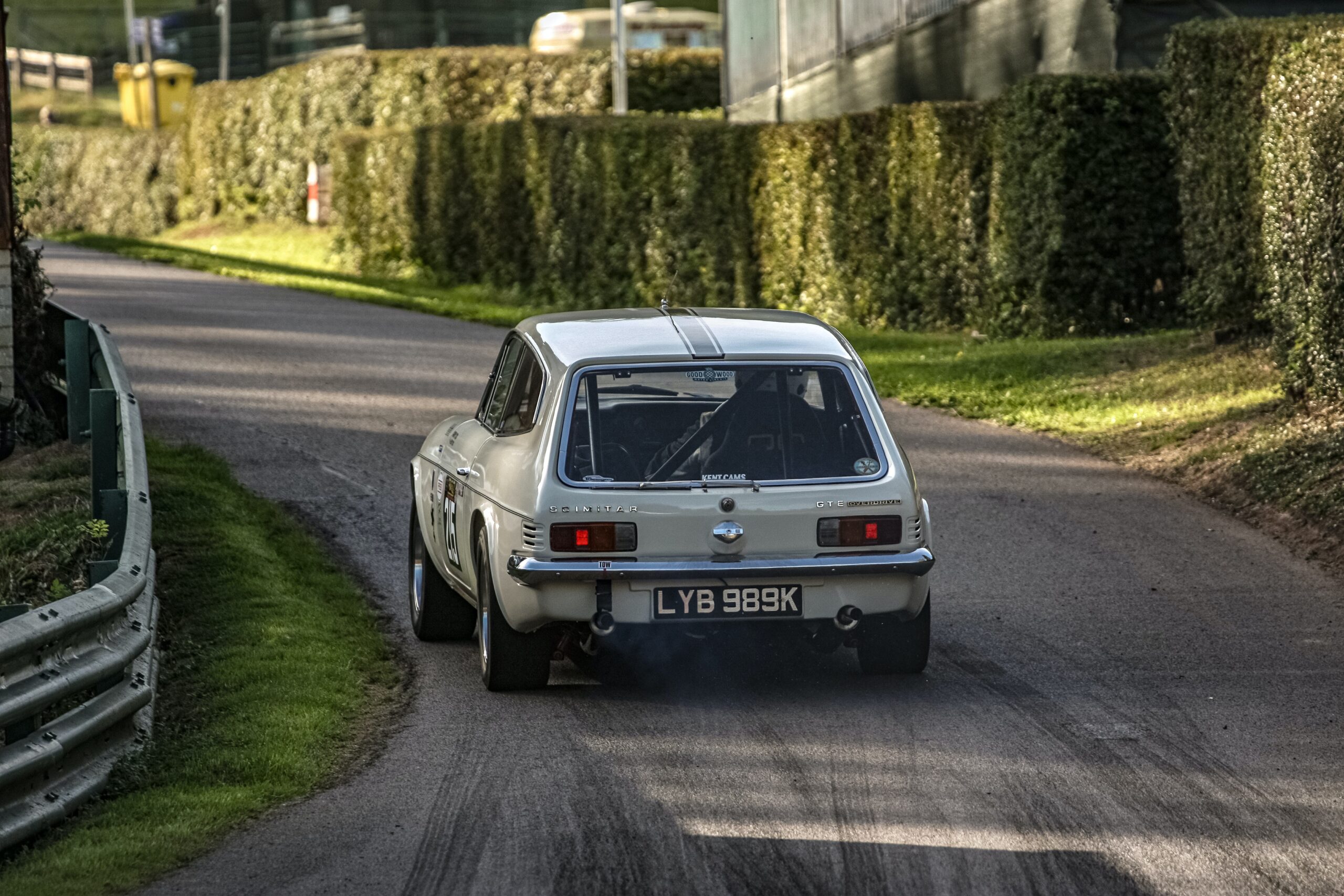 Reliant - Paintman