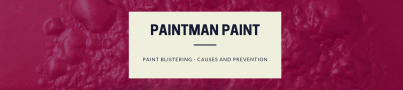 Paint blistering /microbubbling – causes and prevention - Paintman Paint