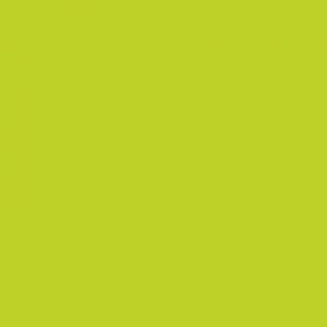 Citrine BS 12E51 - Standard Colour - Paintman Paint