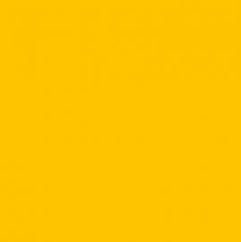 Bold Yellow - BS381C 363 - Standard Colour - Paintman Paint