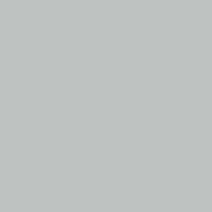 BS381C 627 Light Aircraft Grey - Shop Online - Paintman Paint
