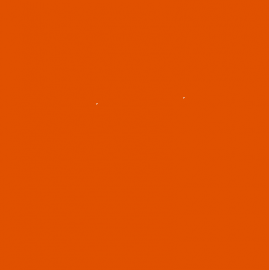 Traffic Orange RAL 2009 - Standard Colour - Paintman Paint