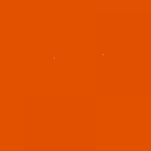 Traffic Orange RAL 2009 - Standard Colour - Paintman Paint