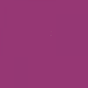 Traffic Purple RAL 4006 - Standard Colour - Paintman Paint