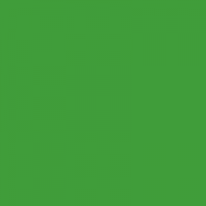 Yellow Green RAL 6018 - Standard Colour - Paintman Paint