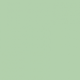 Pastel Green RAL 6019 - Standard Colour - Paintman Paint
