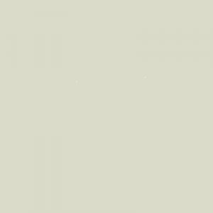 Grey White RAL 9002 - Standard Colour - Paintman Paint