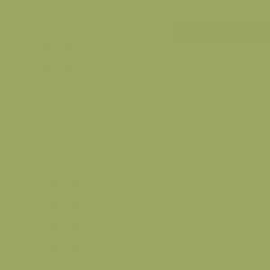 VW Volkswagen Mango Green - L346 - Paintman Paint