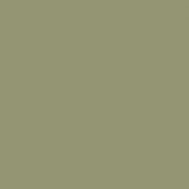 Moorland Green - BS12B21 - Standard Colour - Paintman Paint